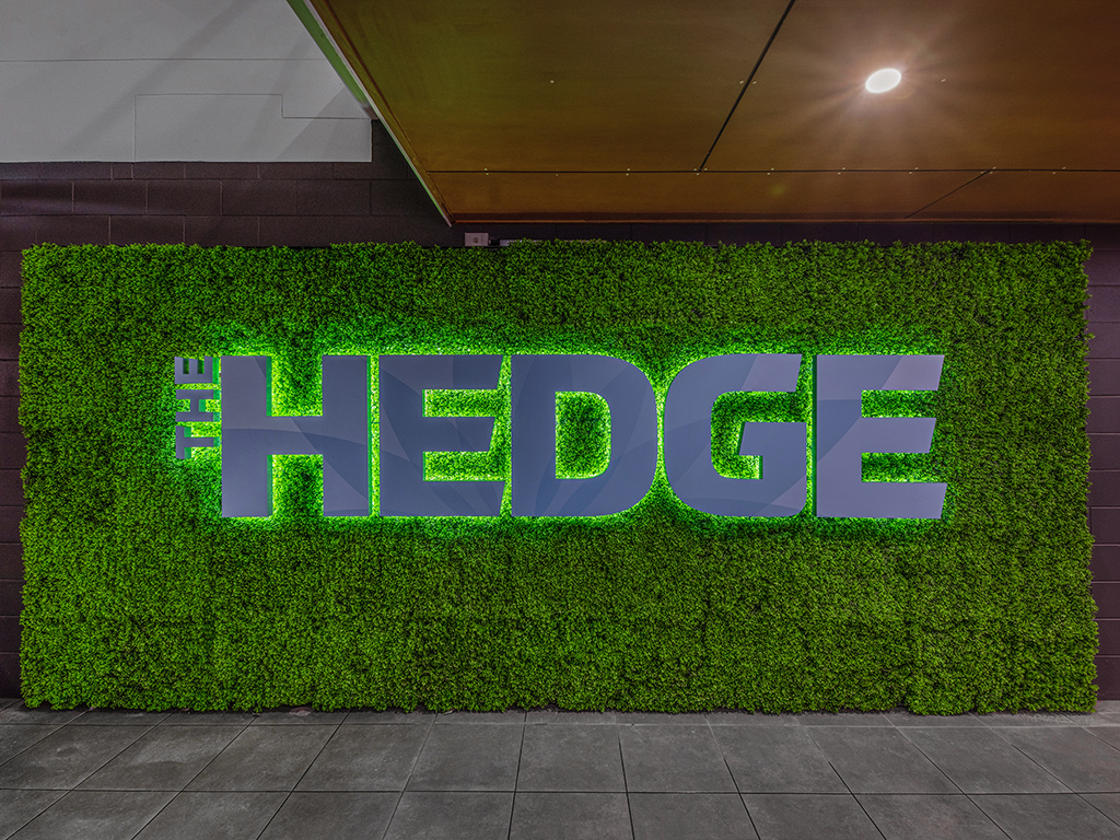 The Hedge
